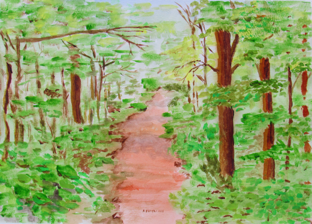 Wooded Path – Ron Enderland Art